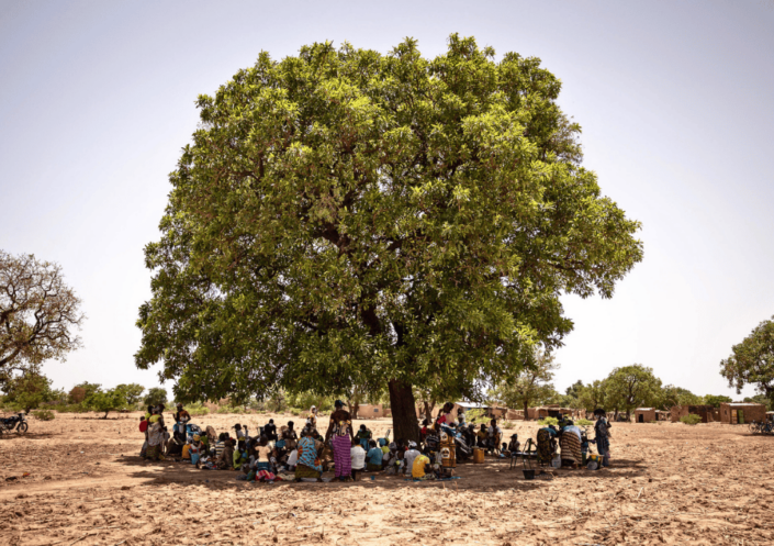 Qui nous sommes - LVIA